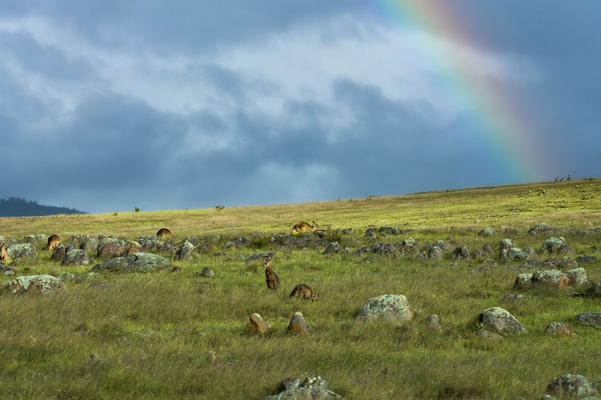 Southern Midlands Council | A rural local government authority located ...