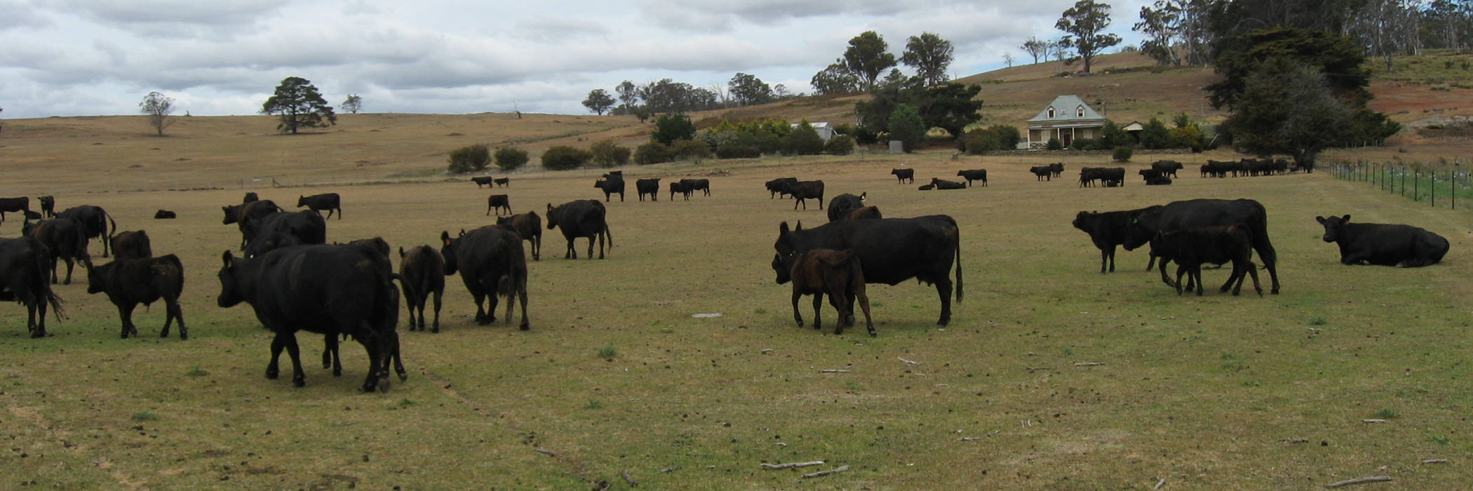 Southern Midlands Council | A rural local government authority located ...